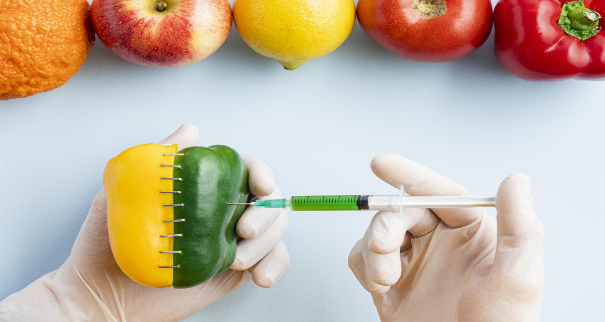 GDO Nedir ve Zararları Nelerdir?